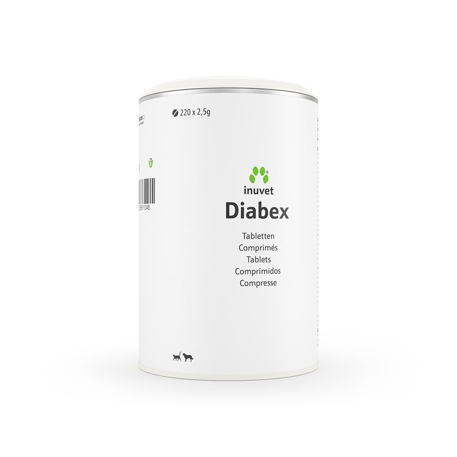 Diabex Tabletten