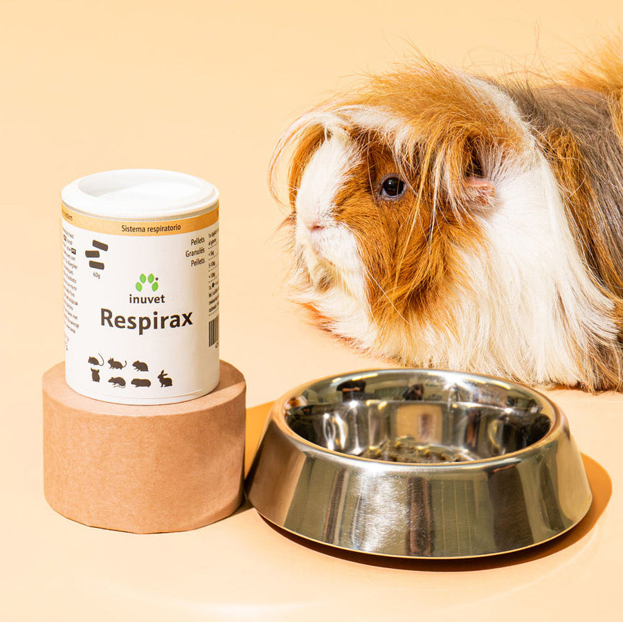 Respirax