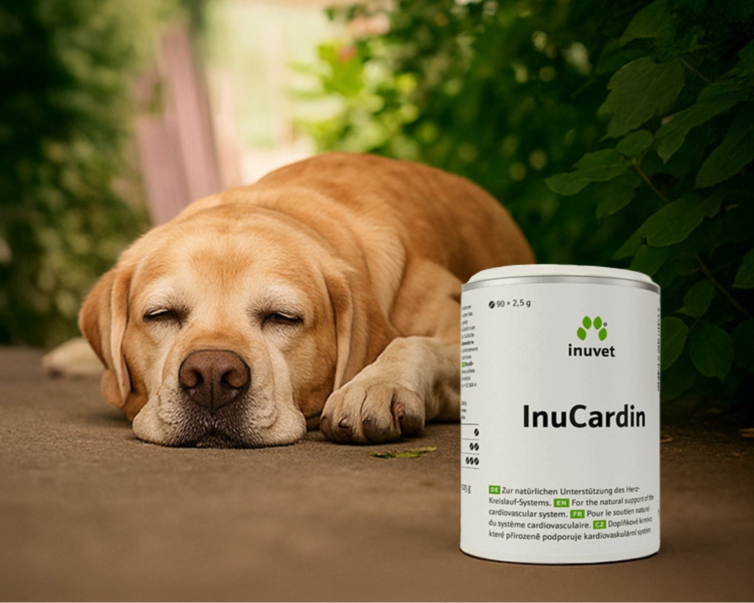 Inuvet - natürlich gesunde Tiere